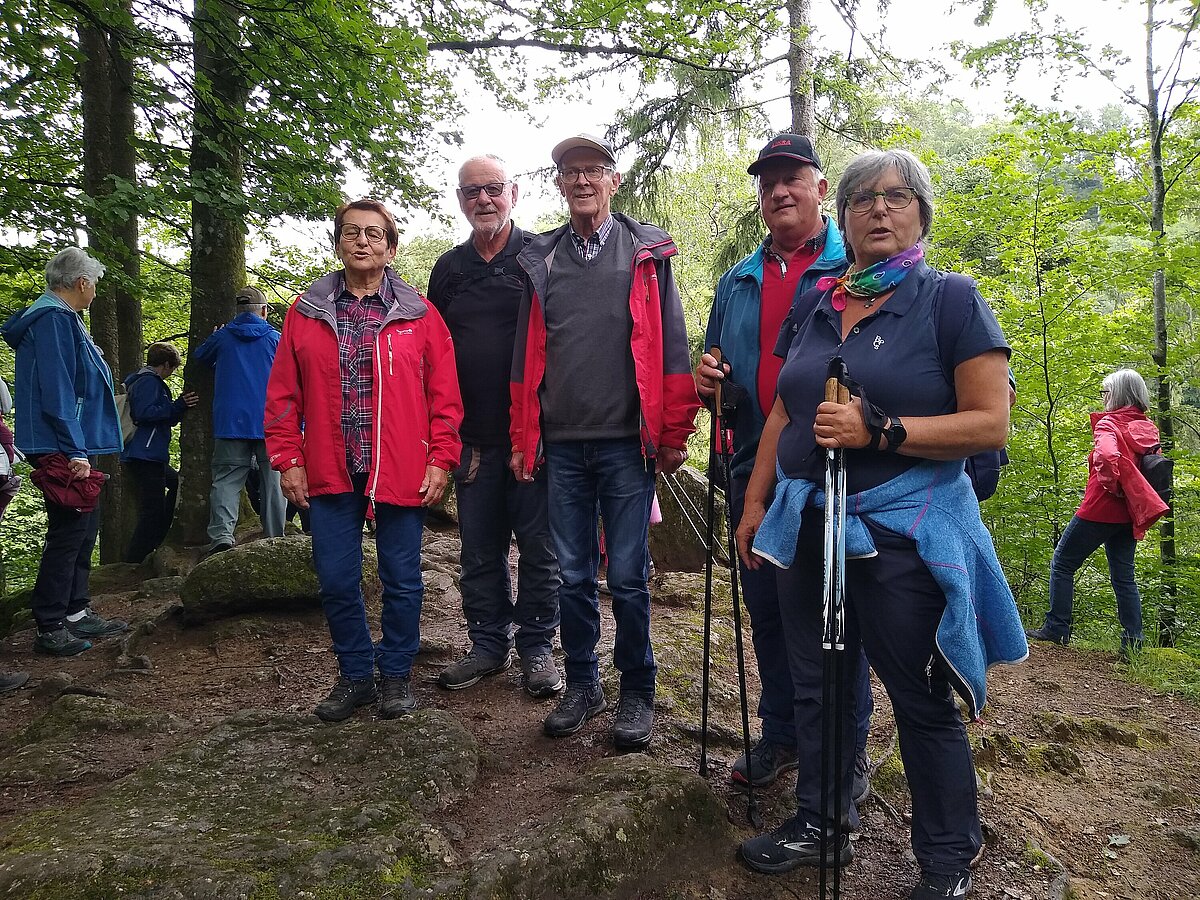 Landesbergwanderung in Lacken, 12. Juni - PVÖ